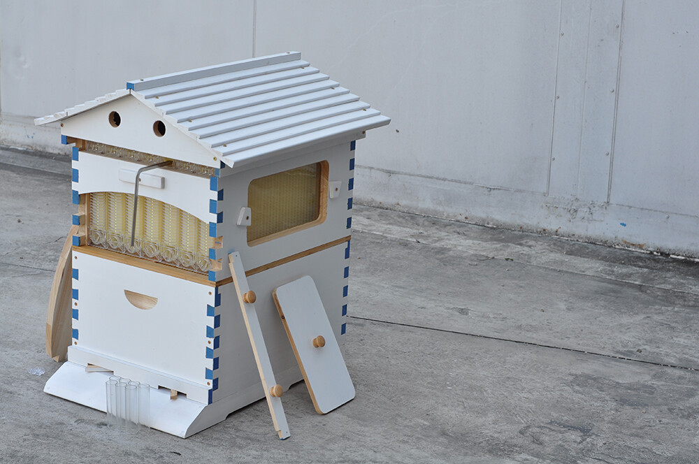 Auto Seeping Bee Hive Beekeeping Brood Wooden House Bee Boxes &7 ...