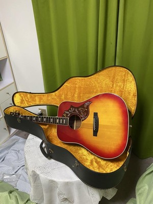 Greco acoustic guitar Hummingbird Electric made by Fujigen Musical ...