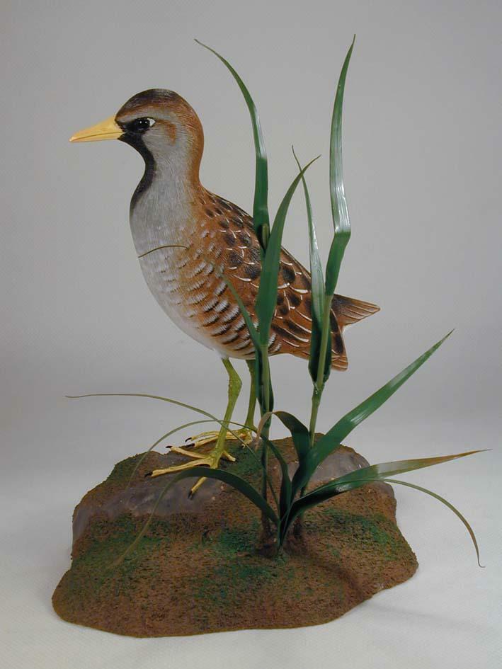 Sora Rail Original Wood Carving | eBay