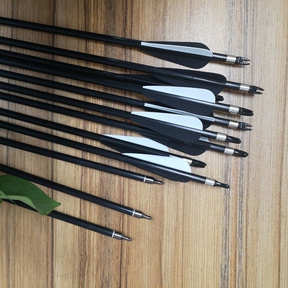 30" Fiberglass Arrows Removable Tips Archery Compound/Recurve Bow ...