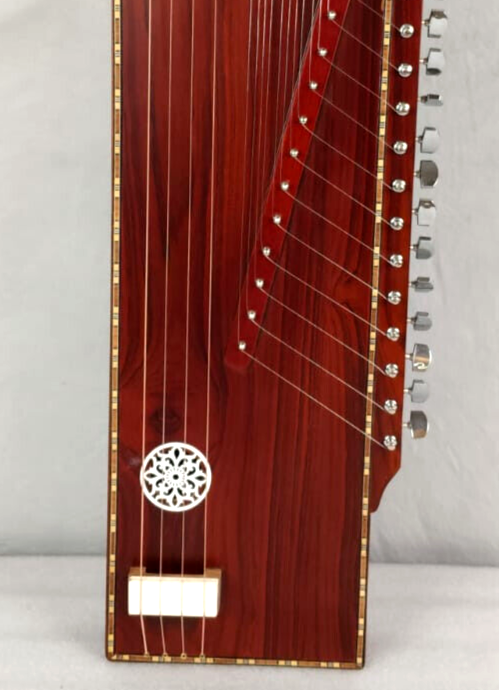 Musical String Instrument Professional Drone Sound 2 InOne ...