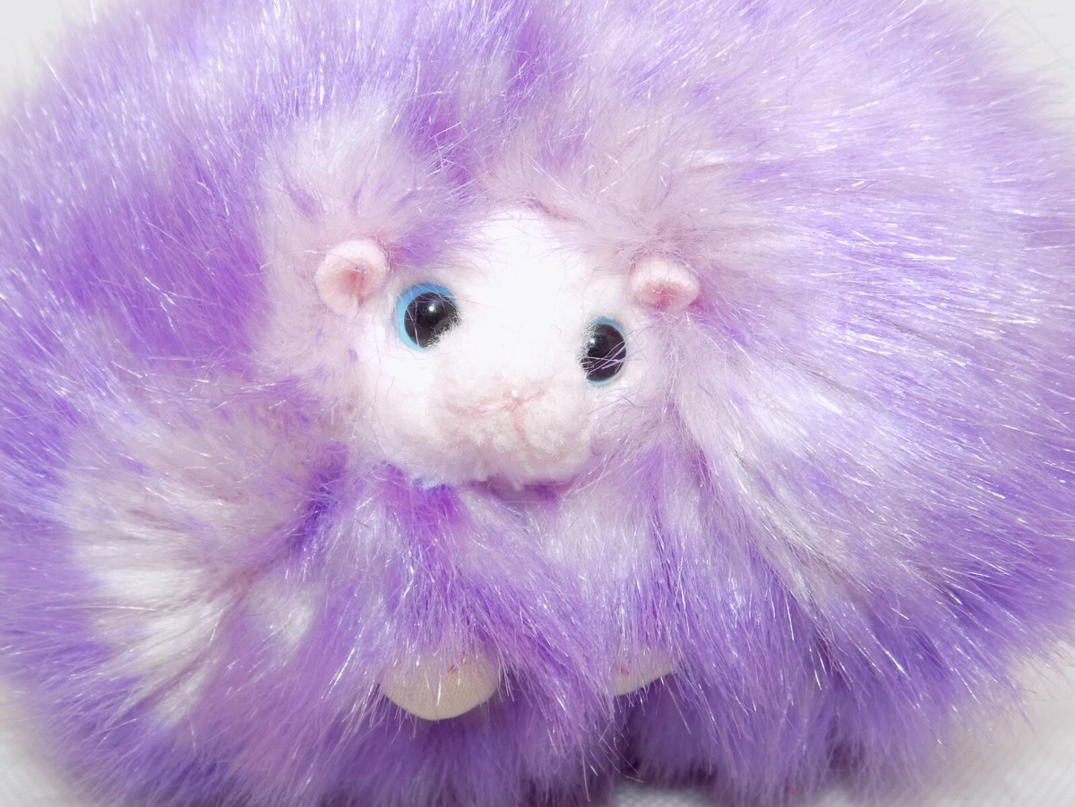 Purple Pygmy Puff