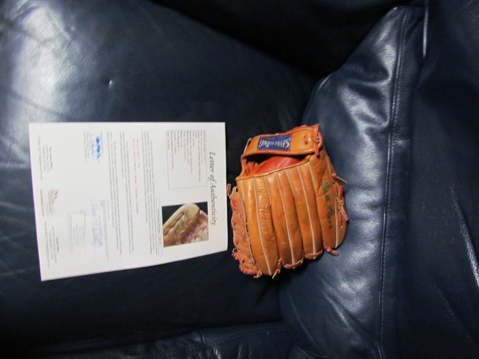 Curt Flood Lou Brock Tim McCarver and more Signed Baseball Glove JSA ...