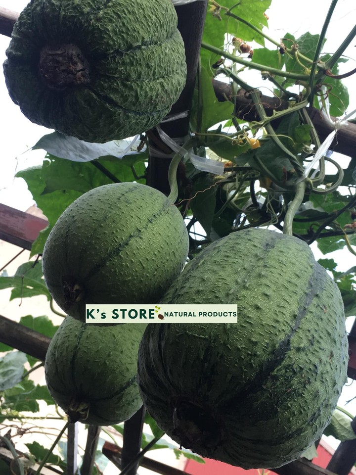 Taiwan APPLE LUFFA Hybrid Seeds; 蘋果絲瓜 very sweet can be eaten raw; from ...