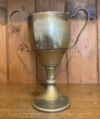 Medium Bill Hocking vintage silver plate trophy, trophies loving cup | eBay