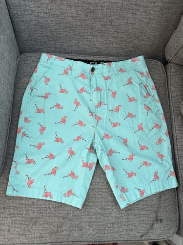 Plugg Flex Shorts Men 32 (measure 34) Aqua Pink Flamingo 9.5" Inseam | eBay
