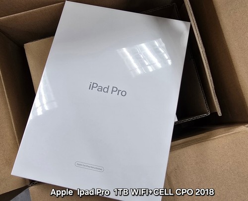 Apple Ipad Pro 11 inch 1TB 2018 Model A2013 wifi + LTE New CPO | eBay