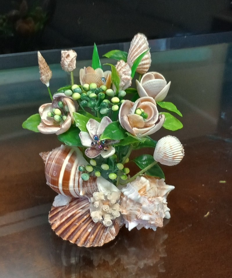 5"/5" Seashells Flowers, Beautiful gift for any holiday. Coastal home decor | eBay