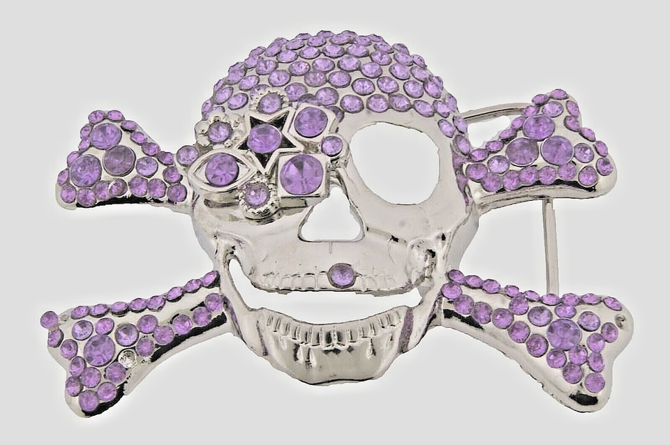 Skull Belt Buckle Crossbones Skeleton Rhinestones Purple Metal Cosplay ...