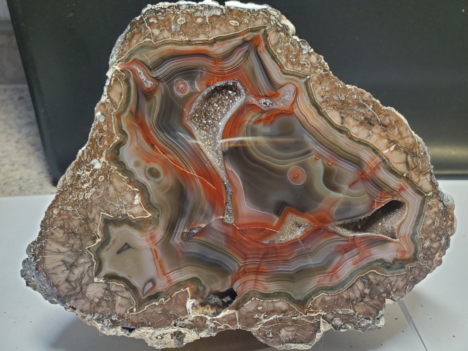 Museum Quality Thunderegg Polished Baker Ranch Large Banded 5'x4' Agate ...