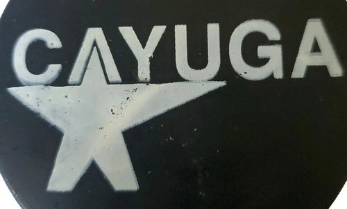 CAYUGA STARS OFFICIAL HOCKEY PUCK RARE VINTAGE VICEROY MFG. Made In ...