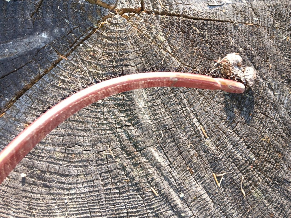 Ancient Damon Howatt Archery Mamba Hi Speed recurve Wallhanger | eBay