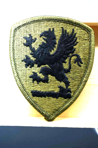 US ARMY PATCH MICHIGAN ARMY NATIONAL GUARD Subdued Multicam SSI OCP | eBay