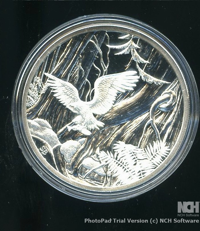 2005 $20 Silver Coin Canada Pacific Rim National Park--Royal Canadian ...