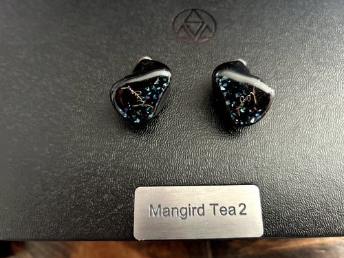 Mangird Tea 2 MKII Earphone Next Generation 6BA+1DD Hybrid IEM HiFi | eBay