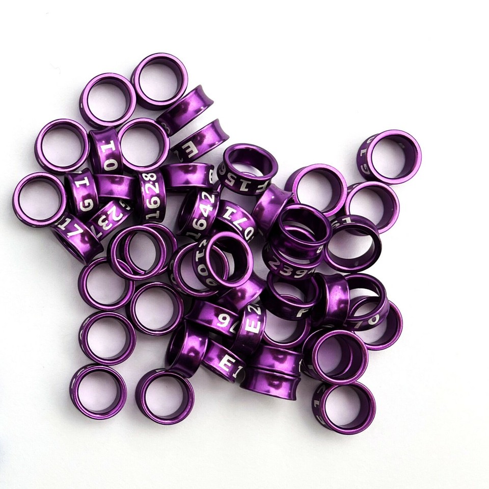 100PCS 8mm Conure Pigeons Rings Aluminium Closed-loop Bird Leg Bands | eBay