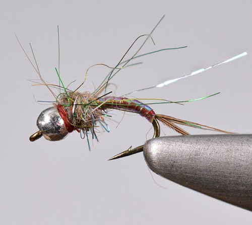 12 Flies - Tungsten Bead Rainbow Warrior Midge Nymph Fly - Mustad ...