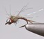 12 Flies - Tungsten Bead Rainbow Warrior Midge Nymph Fly - Mustad ...