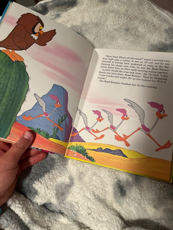 the road runner a very scary lesson by russell k shroeder looney tunes ...