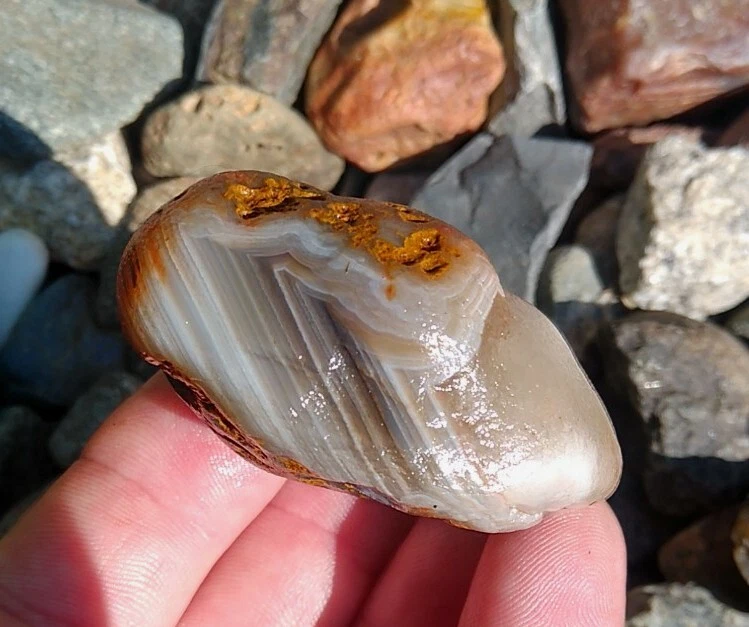 Lake Superior Agate