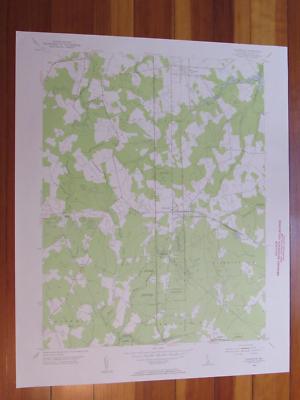 Ellendale Delaware 1955 Original Vintage USGS Topo Map | eBay