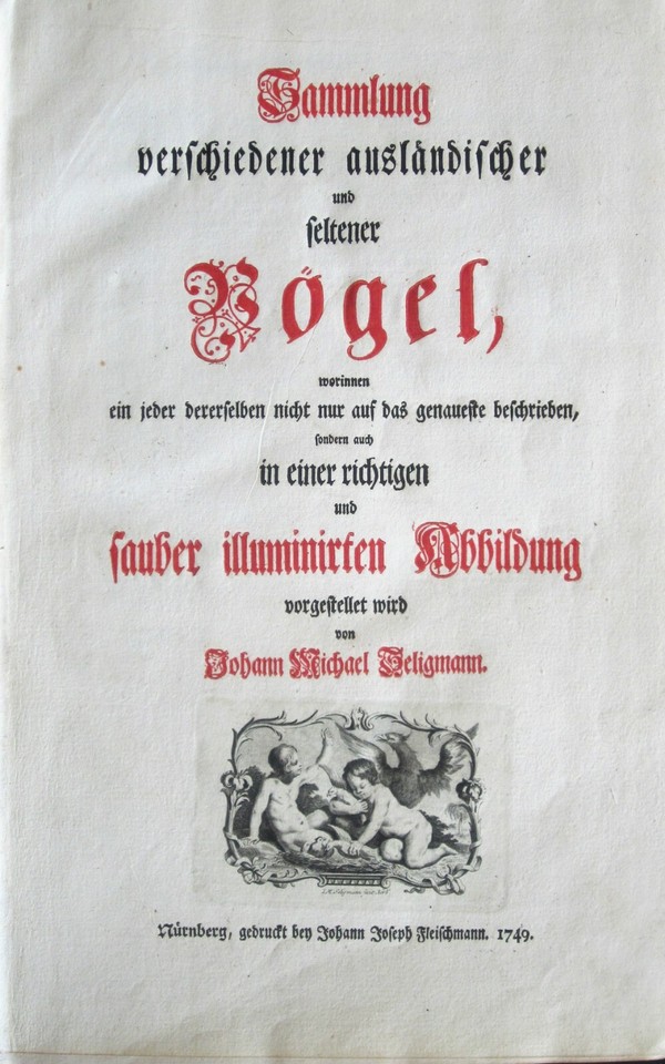 Edwards,The Bittern from Hudson Bay,hand color. engraving,1748 #136. | eBay