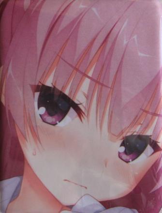 y29 Dakimakura Cover Riddle Joker Yuzu Soft Sofmap Bonus Life-size 160×50cm Japa | eBay