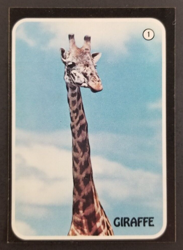 Giraffe 1975 Topps Who's Zoo Animal Card #1 (NM) | eBay