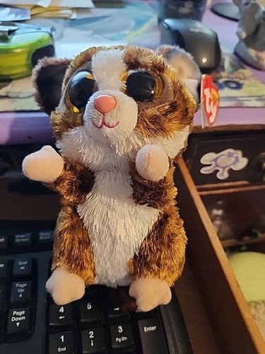 TY Beanie Boos - BINKY the Galago (Glitter Eyes) (6 inch) - MWMTs Boo ...