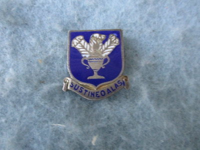 WWII US Army Air Force Training DI Crest Sustineo Alas Sterling Marked ...