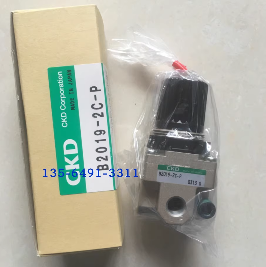 1PC NEW CKD B2019-2C-L Pressure Reducing Valve #H282CC YD | eBay