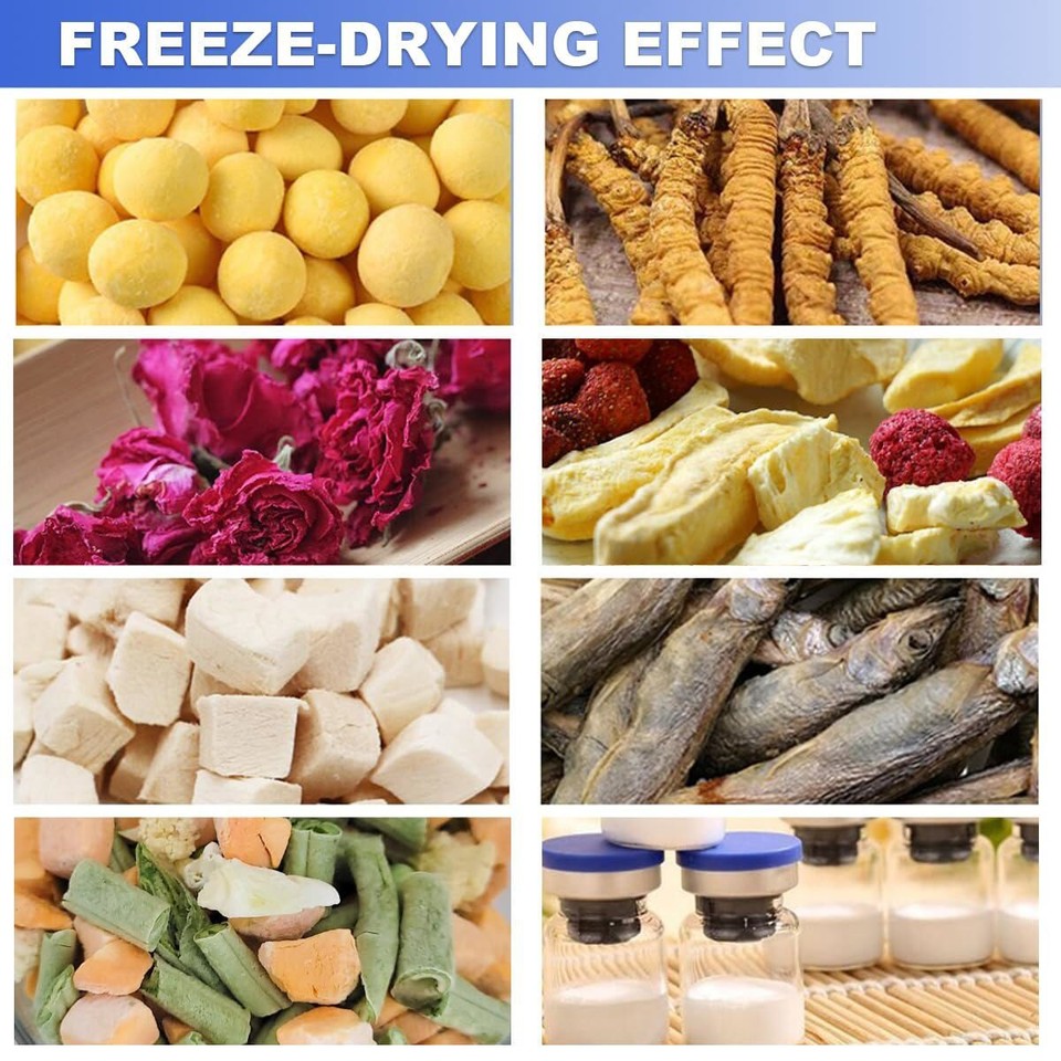 4-6KG Vacuum Freeze Dryer Lyophilizer Sublimation Drying System with ...