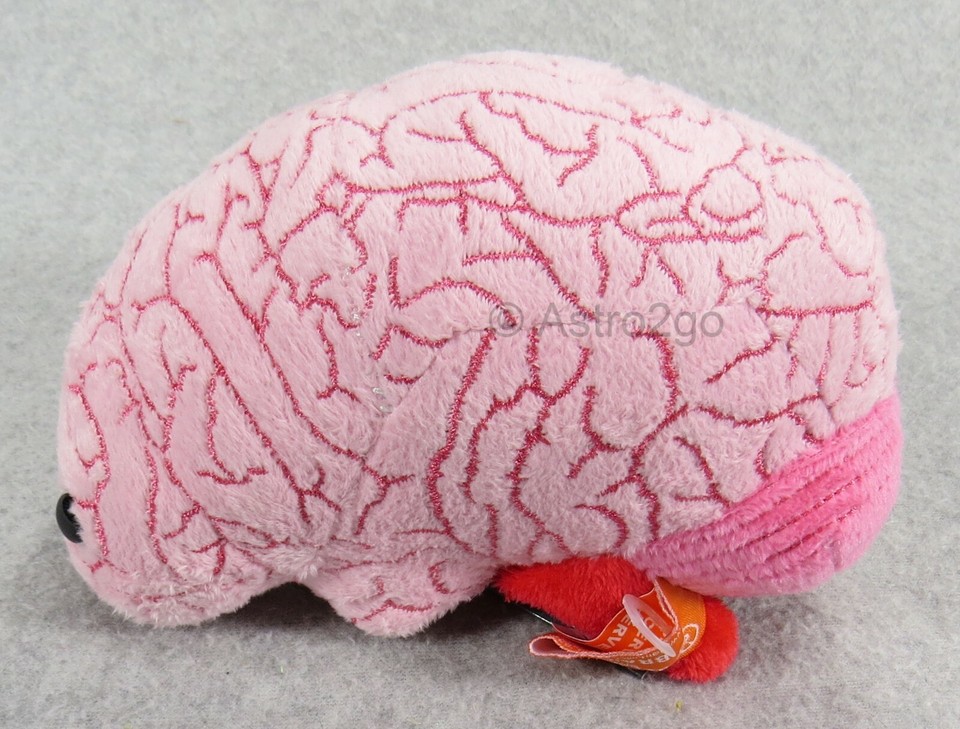 GIANT MICROBES-BRAIN ORGAN-Stuffed Plush Mind Stem Cell Memory Thoughts ...