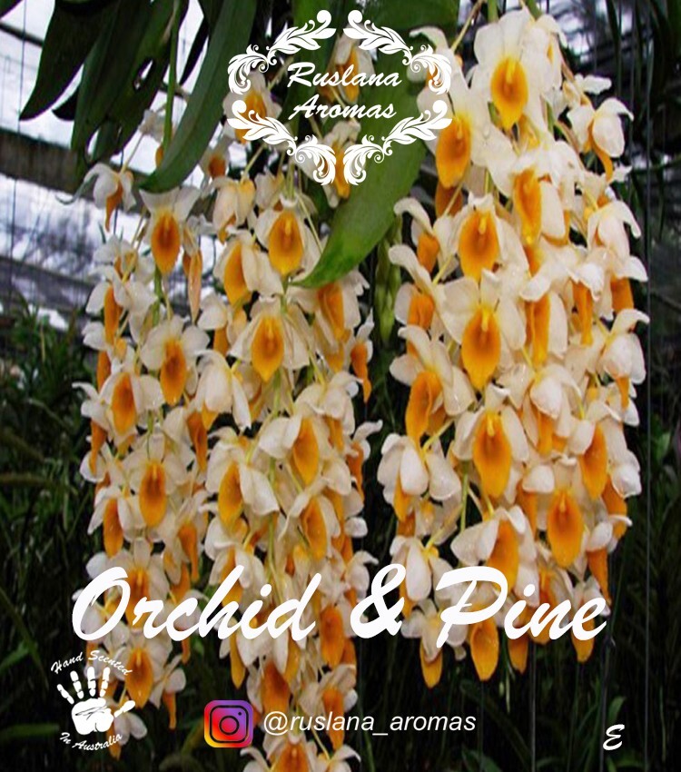 Orchid & Pine (E), Highly Scented Soy Melt | eBay