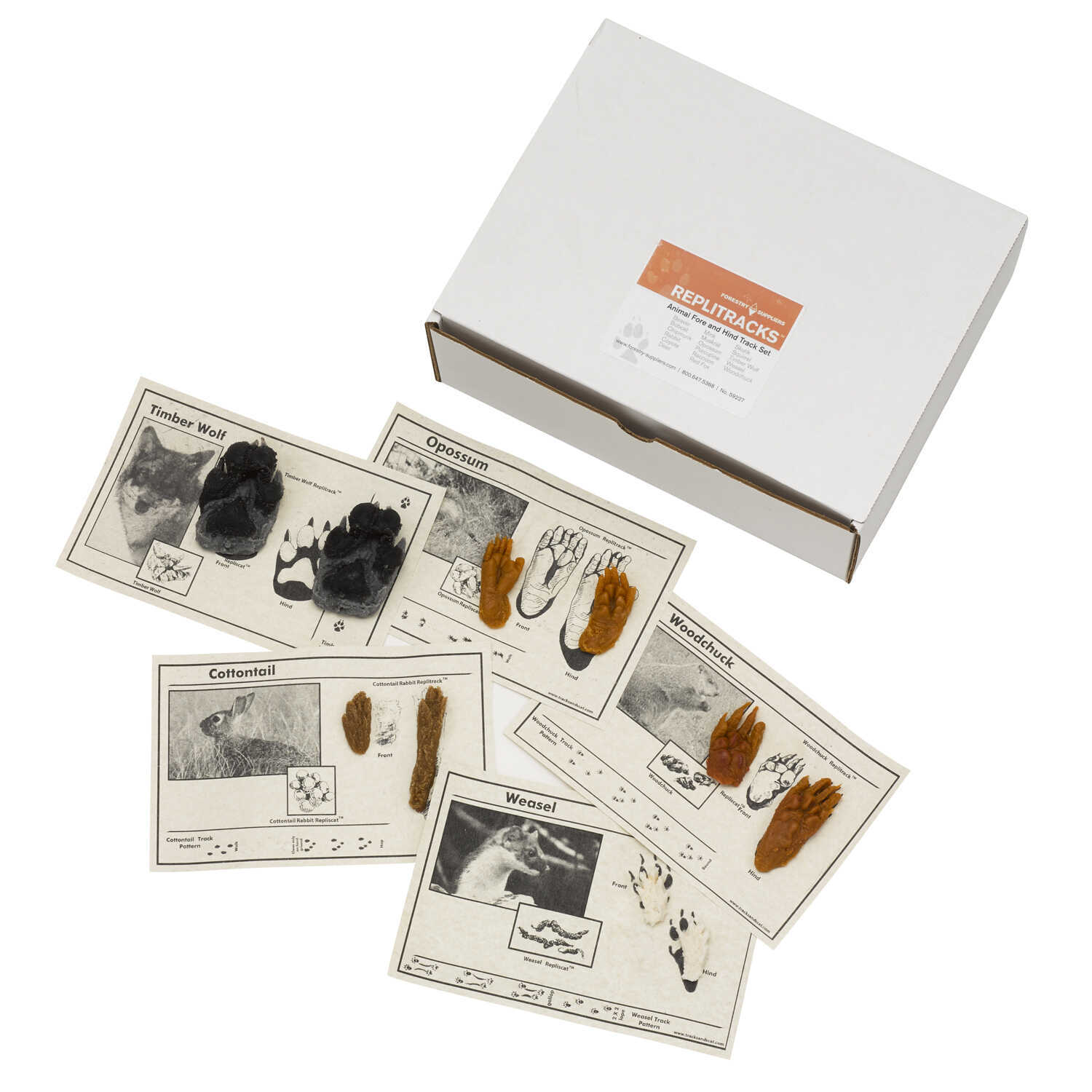 Forestry Suppliers Replitracks Fore and Hind Track Set | eBay