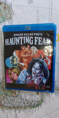 Haunting Fear Blu-Ray HORROR Rare OOP New Free Ship | eBay
