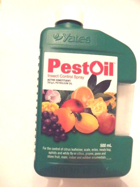 INSECTICIDE Yates PEST OIL Insect Control Spray Concentrate 500ML for ...