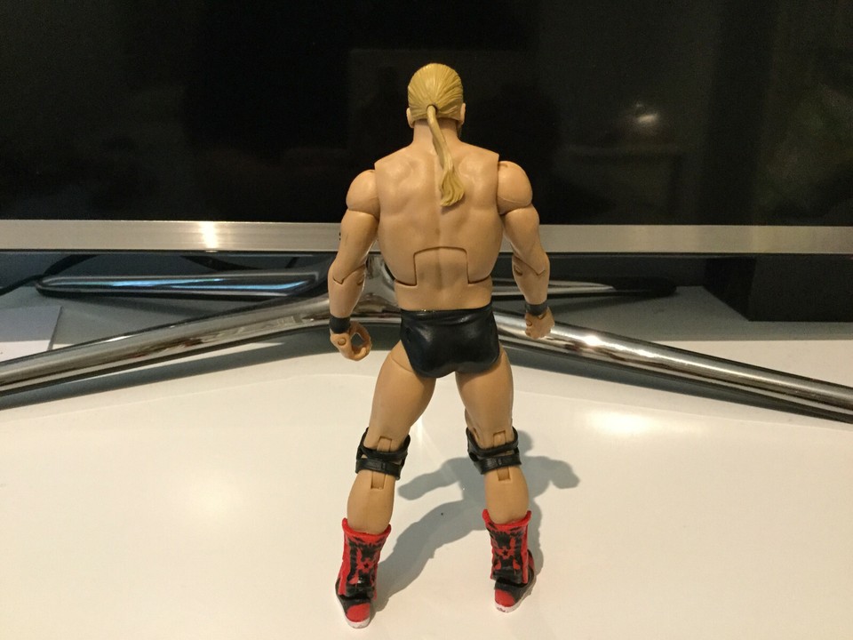 MATTEL WWE BARRY WINDHAM ELITE FIGURE (GOOD CONDITION) FOUR HORSEMEN | eBay