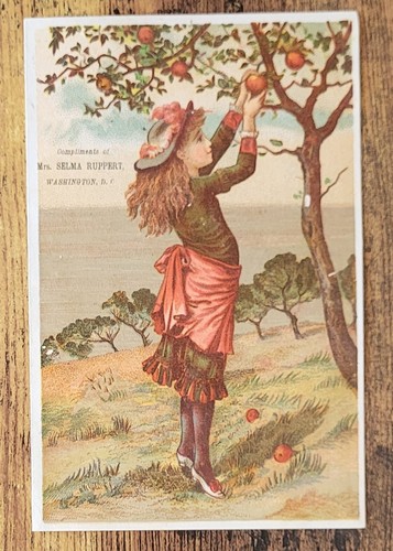 Victoria Trade Card Washington Dc Mrs Selma Ruppert Picking Apples | eBay