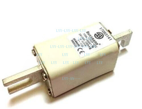 1PC Eaton BUSSMANN 170M3141 100A, 1250V High Speed Fuse-link | eBay