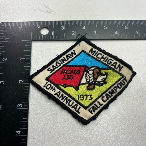 Vintage 1973 SAGINAW MICHIGAN DOG TEN CAMPING Michigan Patch S42O | eBay