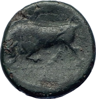 SYRACUSE Sicily 317BC Agathocles KORE BULL RARE Ancient Greek Coin ...