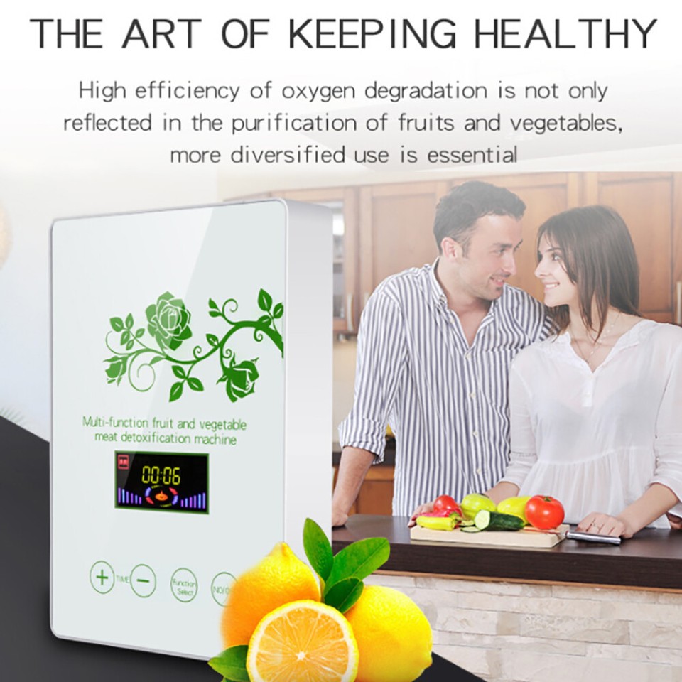 Food Vegetable Sterilizer Ozone Generator Ozonator Air Purifier Water ...