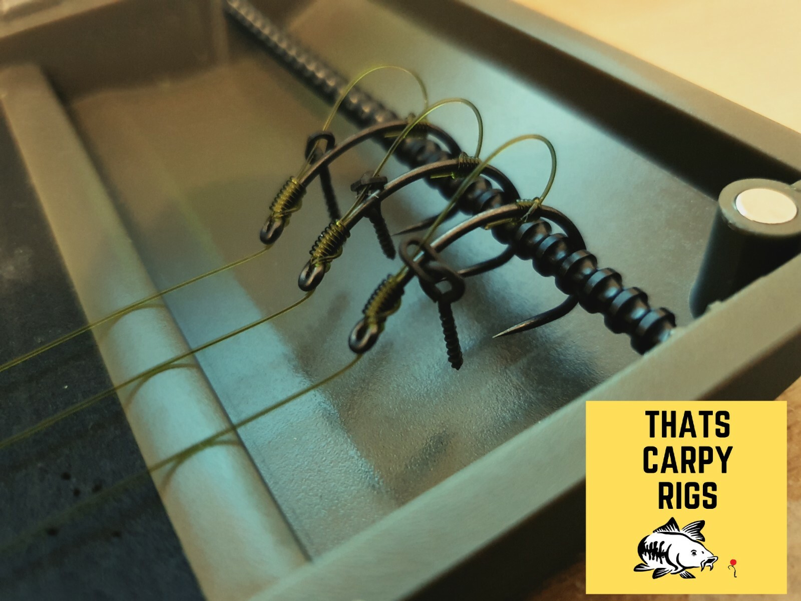 3 x Korda Style - IQ2 D Rig - Teflon Hooks / Pre Tied Carp Rigs ...