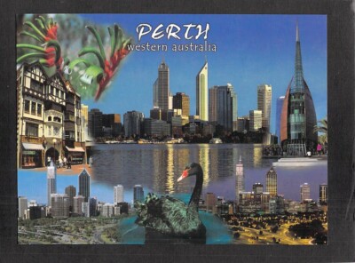C7817 Australia WA Perth Multiview postcard | eBay Australia