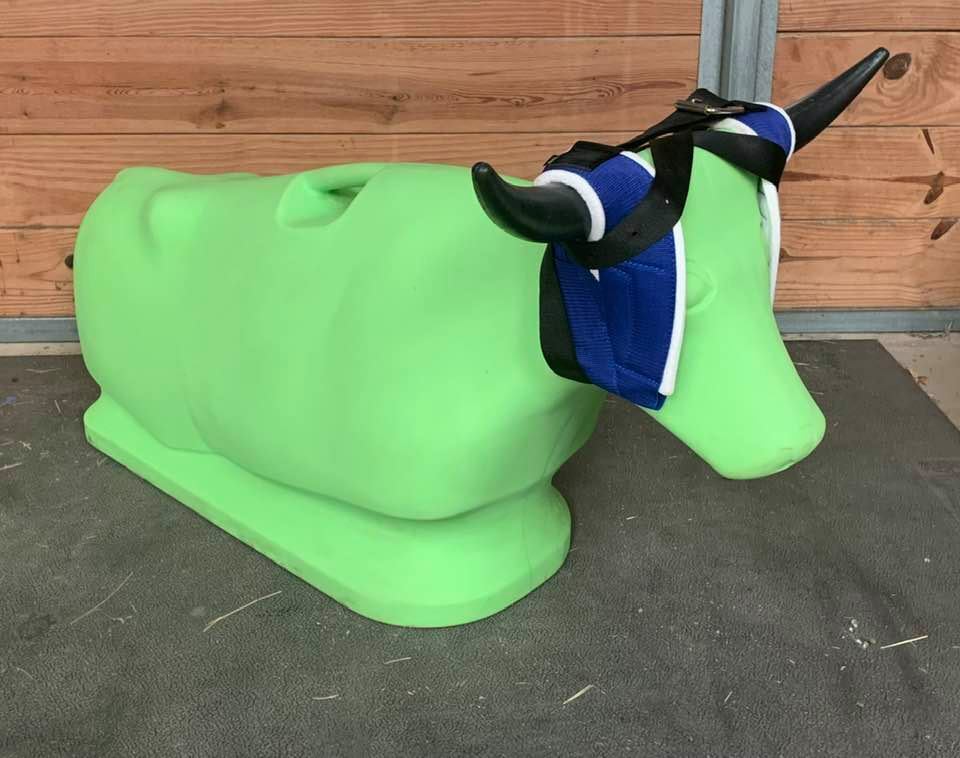 SOMETHING DUMMY Roping Dummy Roping Steer - Black | eBay