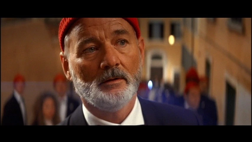 Bill Murray Life Aquatic Costume