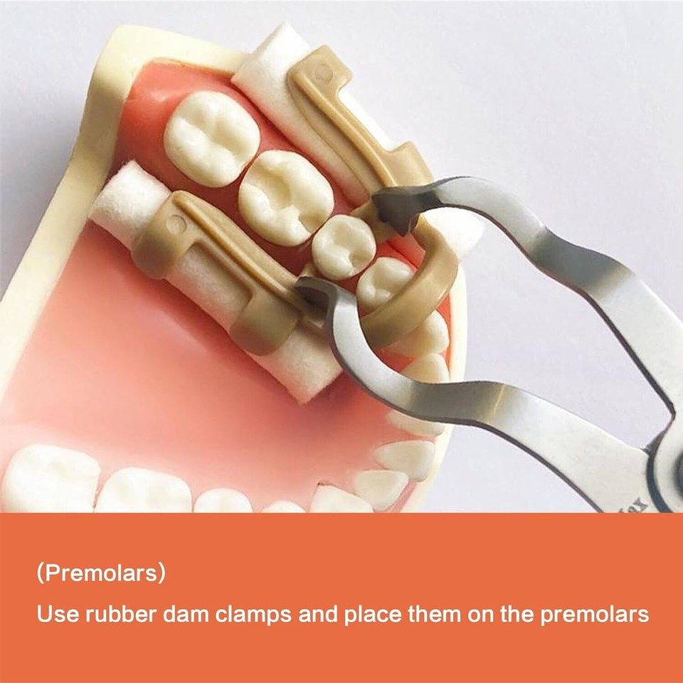 4Pcs/Box Dental Isolation Clip Cotton Roll Molar Hemostatic Clamp Kit ...