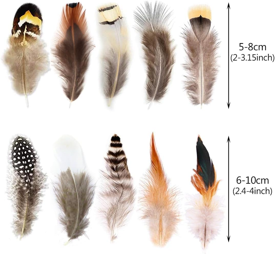 200Pcs 10 Style Natural Feathers Assorted Mixed Feathers for Dream ...