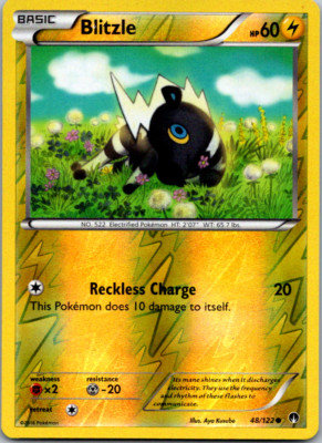 Blitzle 48/122 - Breakpoint - Common - Reverse Holo - Pokemon Card TCG ...